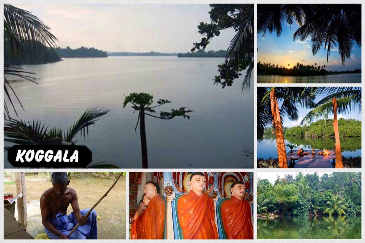 Koggala lake / Koggala tó Sri Lanka